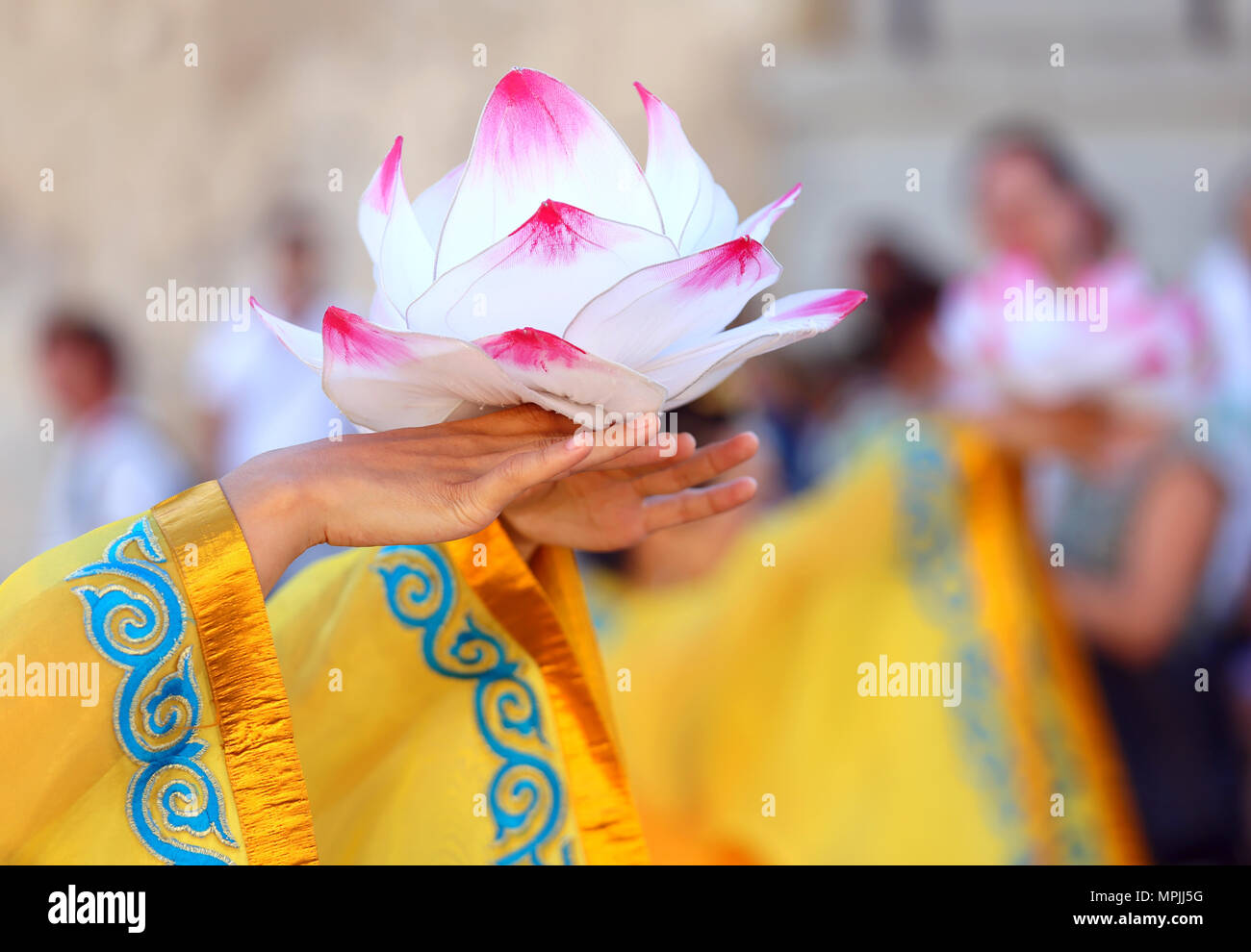 hand holds a blossomed lotus flower Stock Photo - Alamy