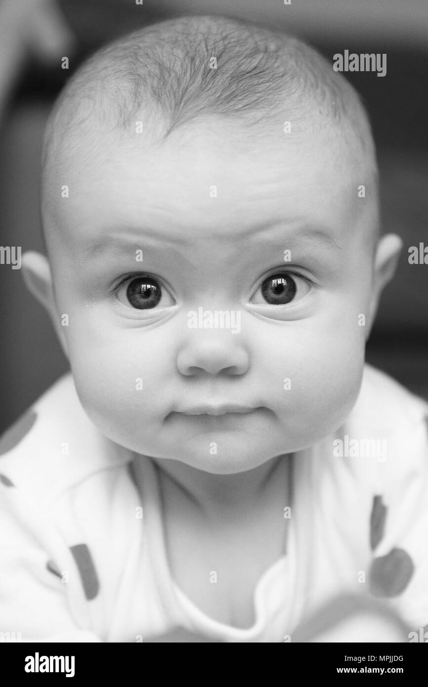 A wide eyed new born baby looking at the camera, age 0 to 6 months ...