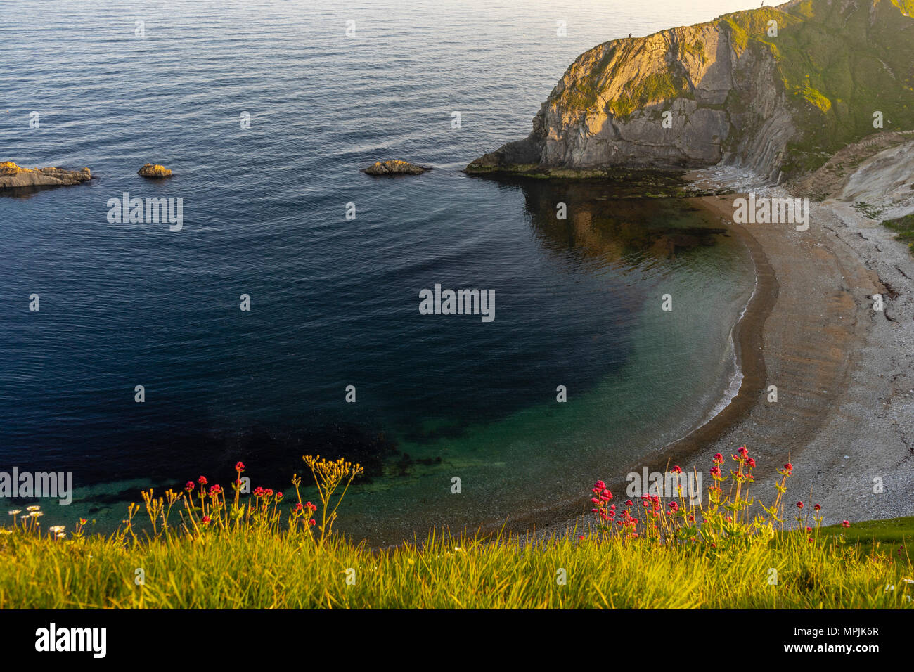 Man of war beach dorset hi-res stock photography and images - Alamy