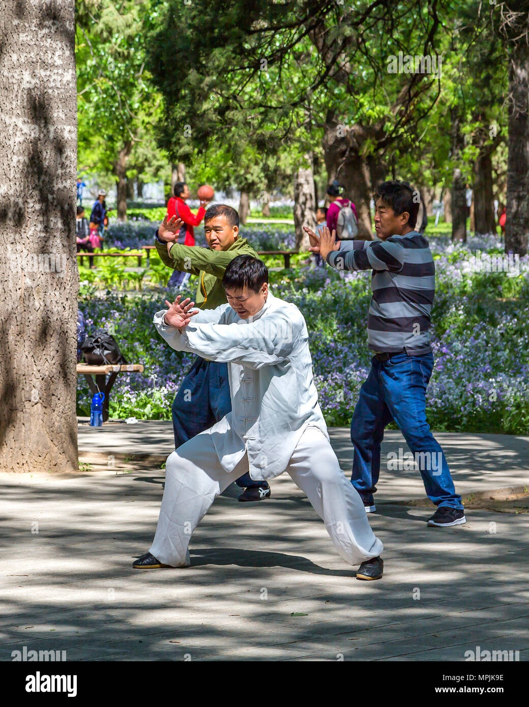 A Tai Chi instructor with his students in Beijing Park, China Stock ...