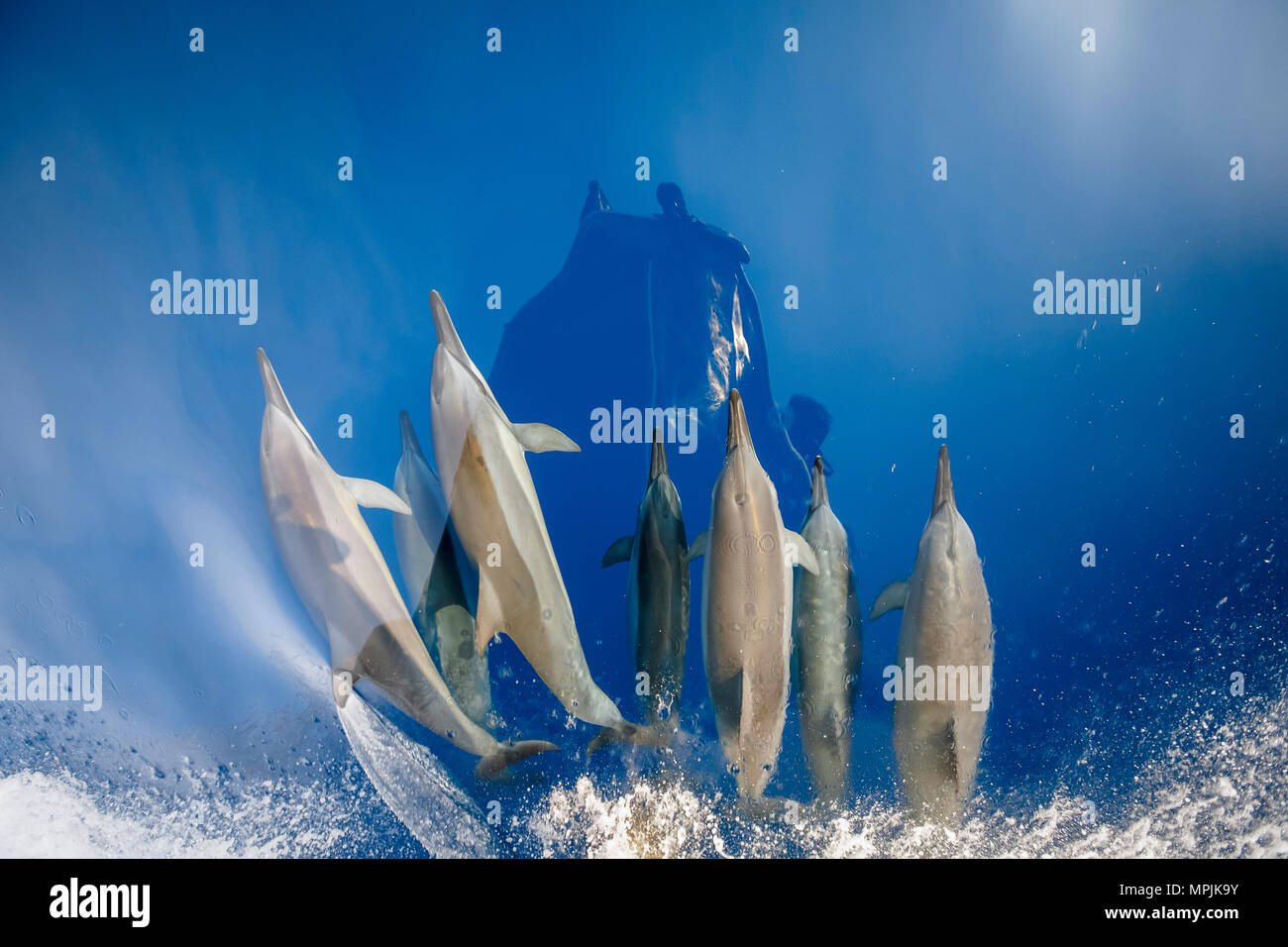 Bonin islands hi-res stock photography and images - Alamy