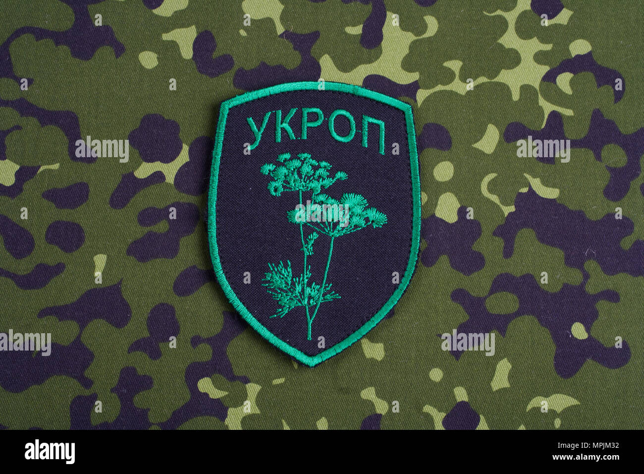 KIEV, UKRAINE - July, 16, 2015. Ukraine Army unofficial uniform badge ...