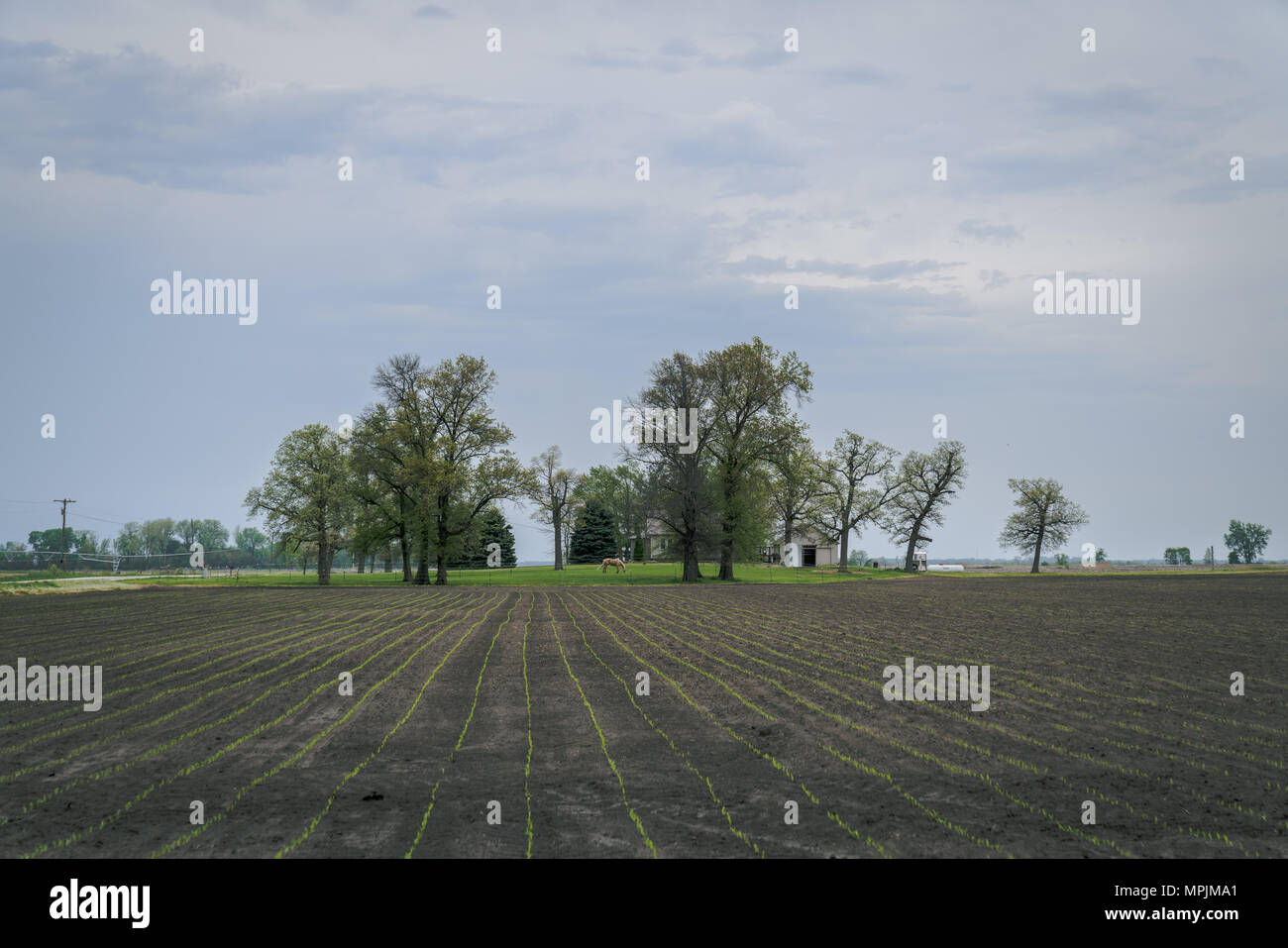 Backroads in america hi-res stock photography and images - Alamy
