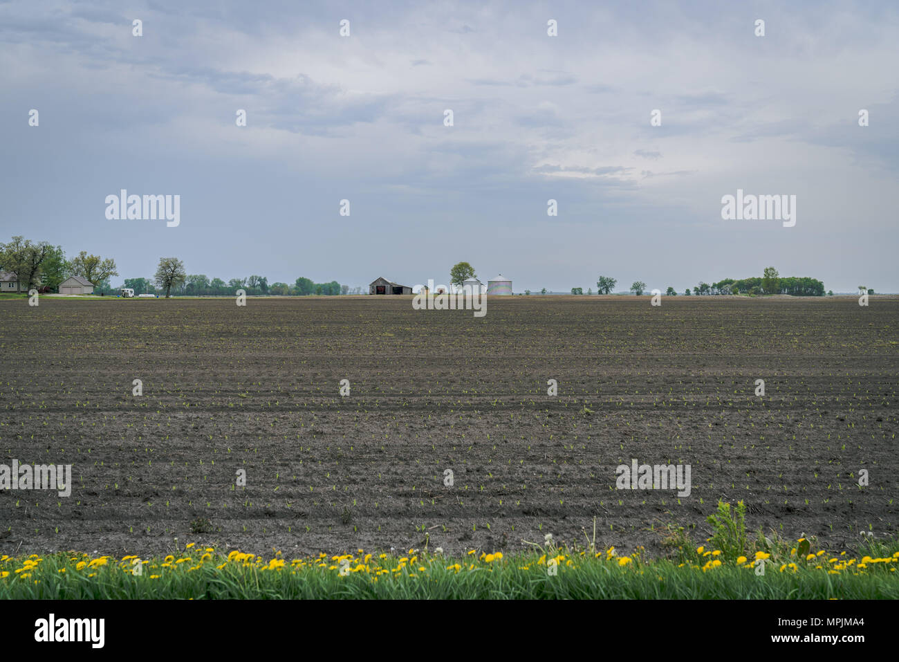 This photo was taking driving around the backroads of Indiana in Spring ...