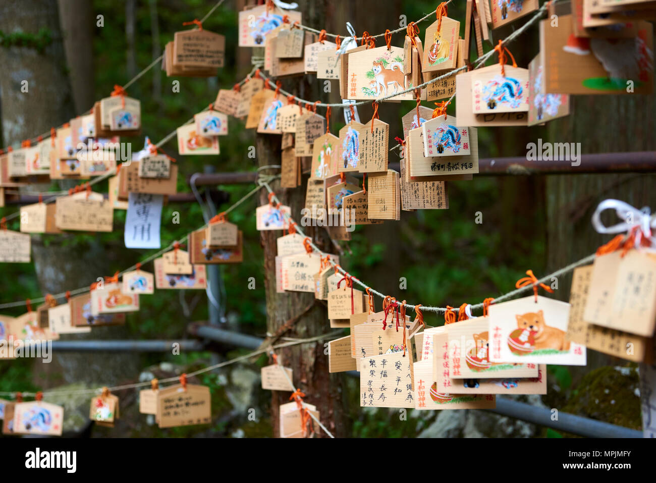 Detail of prayer blocks hanging outside Towada Shinto shrine. The ...