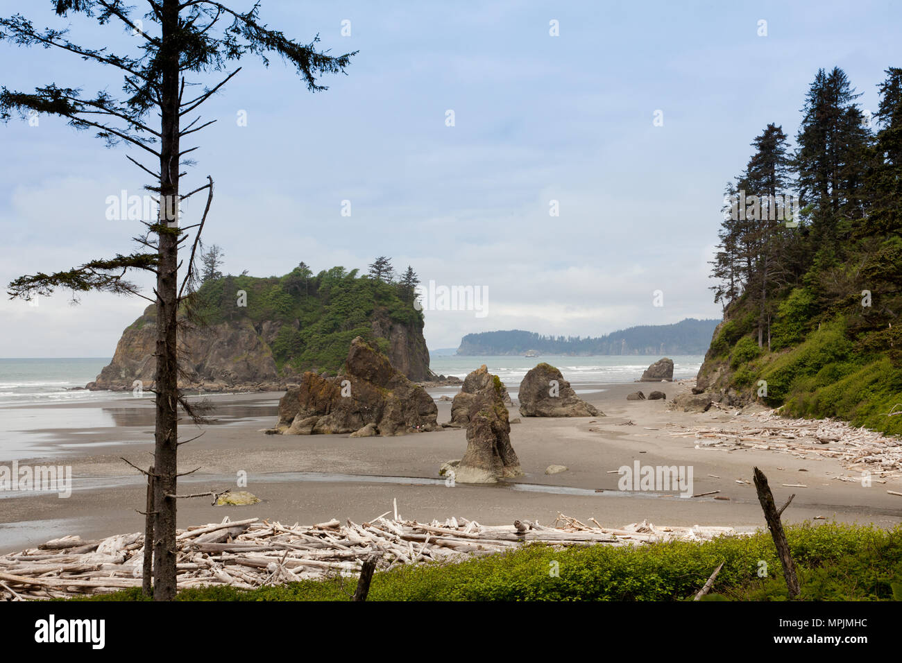 Third coast hi-res stock photography and images - Alamy