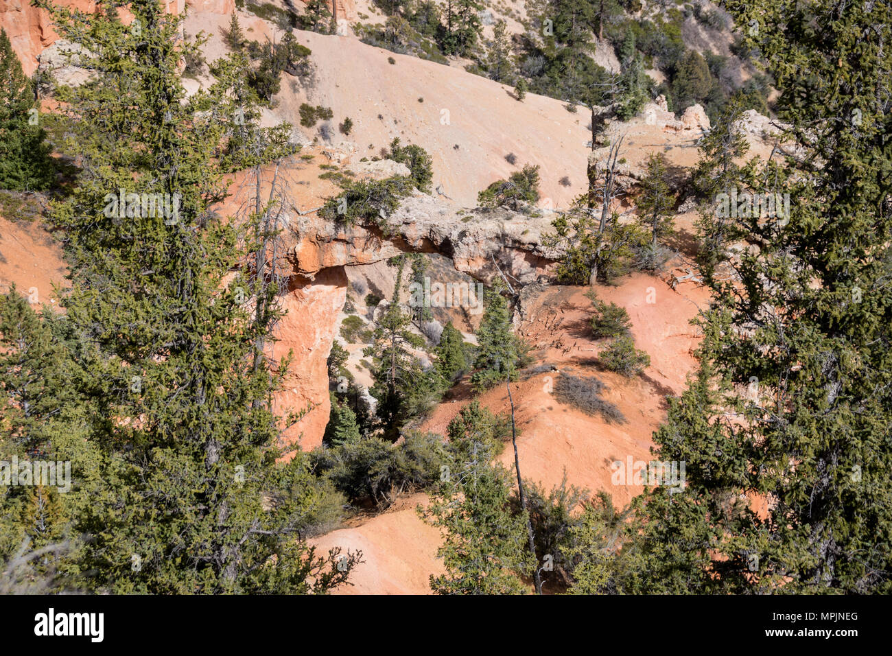 Landscape scene from Bryce National Park, Utah Stock Photo - Alamy