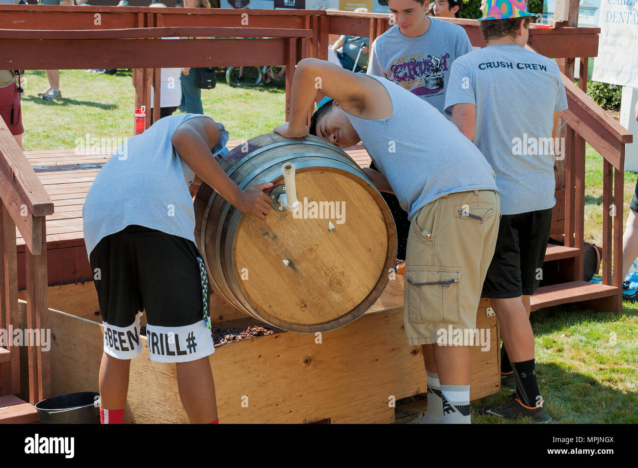 Carlton, Oregon,USA - September 12, 2015:Members of the Crush Crew dump ...