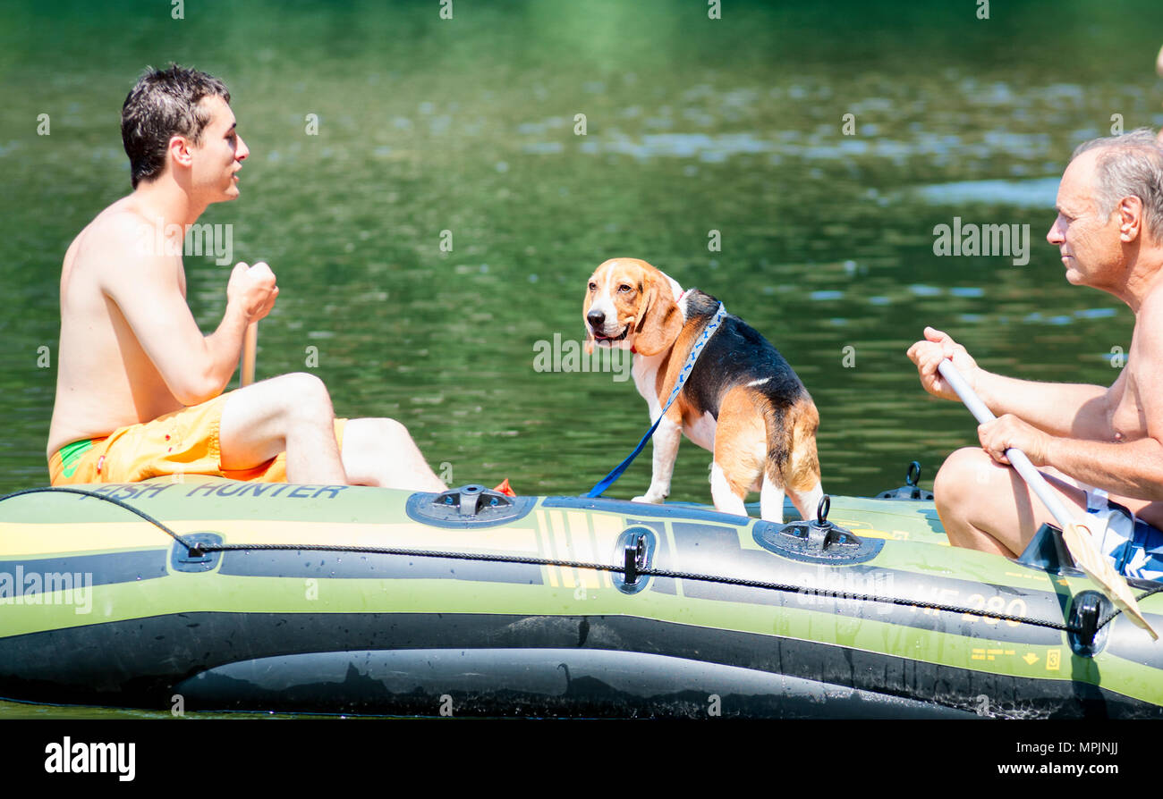 Carver, Oregon,USA - July 30,2009: A young and older man with their dog ...