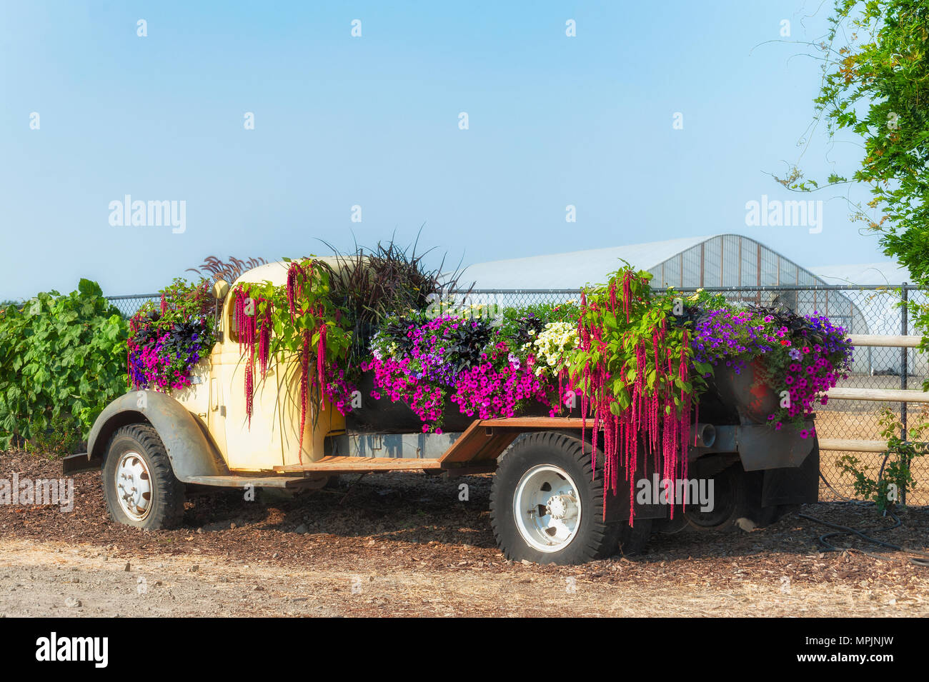 Truck gardening hi-res stock photography and images - Alamy