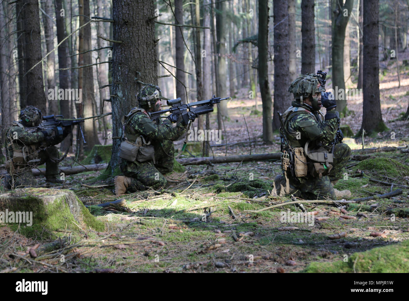 Princess patricia canadian light infantry hi-res stock photography and ...