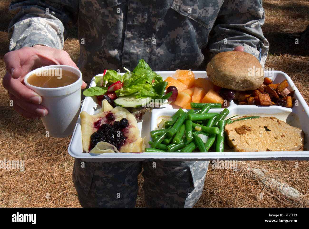 The full meal, created by the culinary team of the 391st Military ...