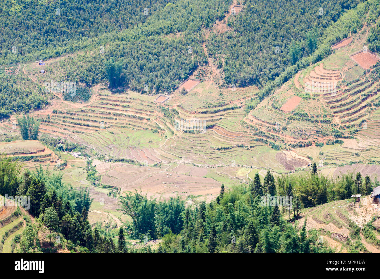 Rice terraces mountain agriculture hi-res stock photography and images ...