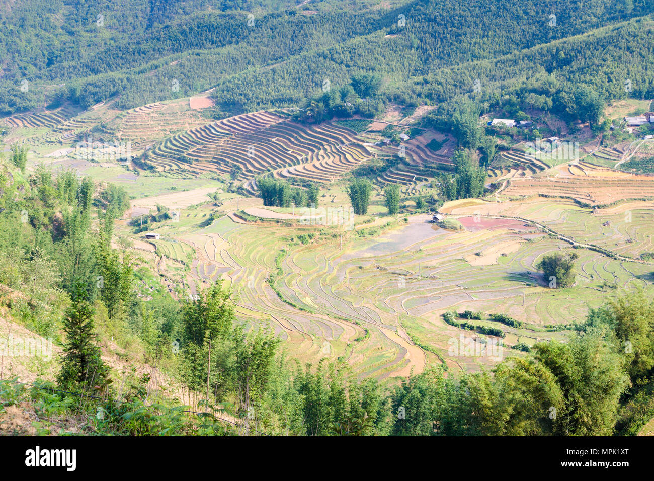 Rice terraces and mountain view, Sapa, Vietnam Stock Photo - Alamy