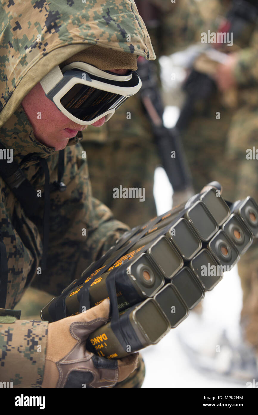 U.S. Marine Corps Lance Cpl. Joseph Walter, field radio operator ...
