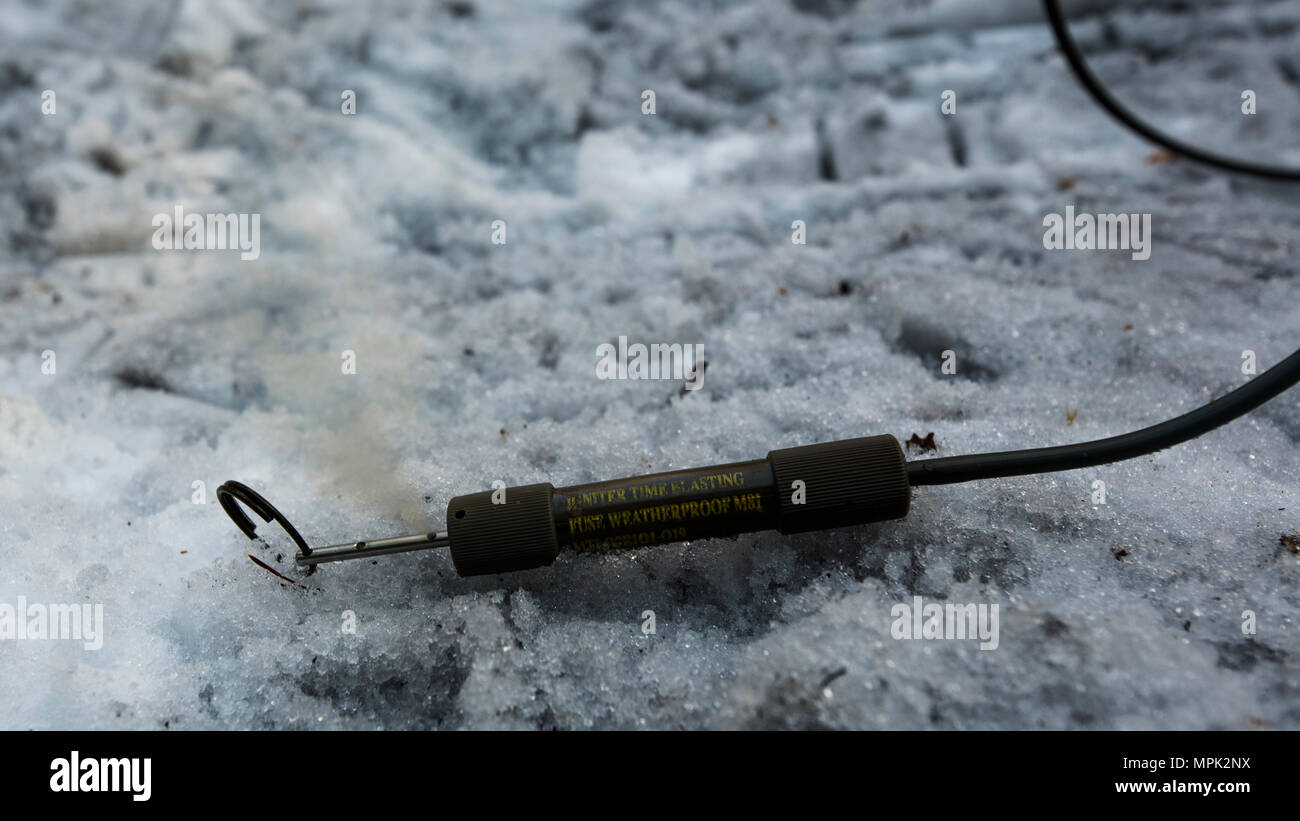 U.S. Marines with 1st Combat Engineer Battalion (CEB) pull a fuse ...