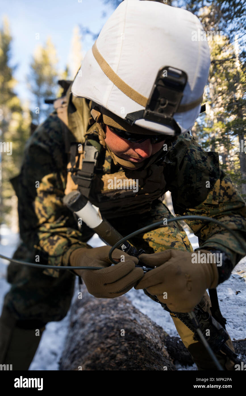 U.S. Marine Corps Sgt. Andrew Smolter, combat engineer, Alpha Company ...