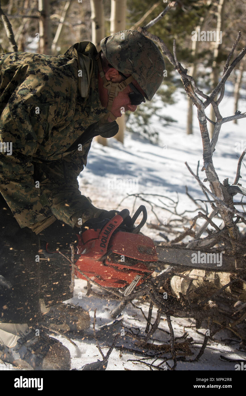 Abatis Stock Photos & Abatis Stock Images - Alamy