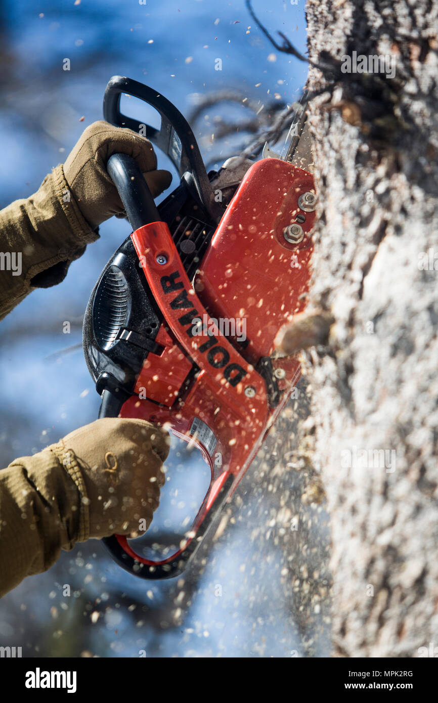 U.S. Marine Corps 1st Lt. Anthony Cibotti, combat engineer officer ...