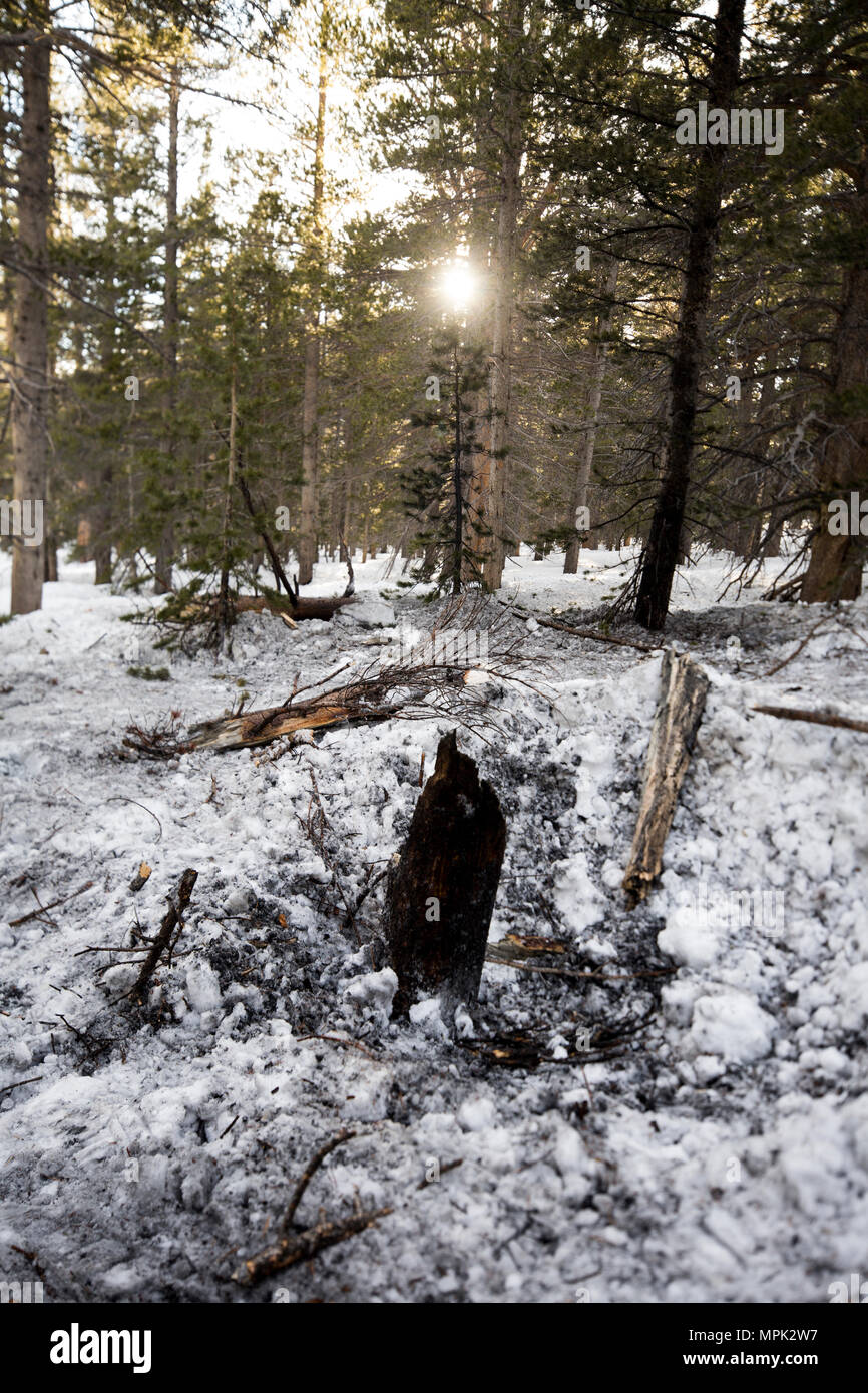 U.S. Marines with Mobility Assault Company, 1st Combat Engineer ...