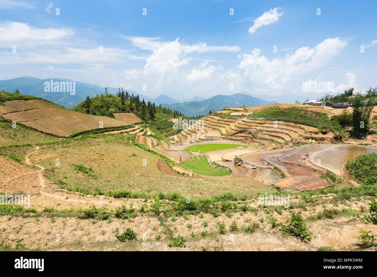 Rice terraces and countryside of Sapa, Vietnam Stock Photo - Alamy