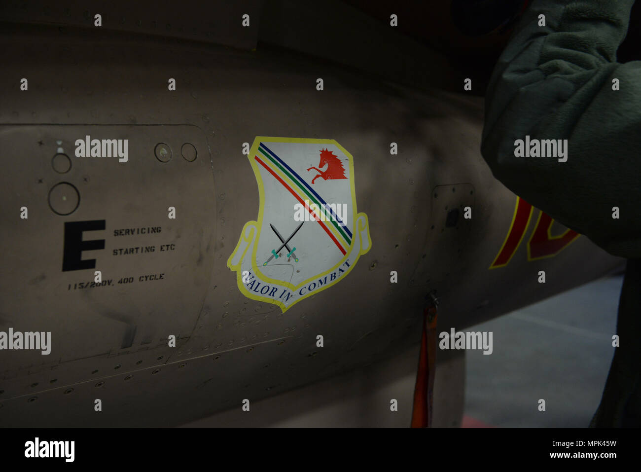 The 354th Fighter Wing (FW) shield painted on an F-16 Fighting Falcon ...