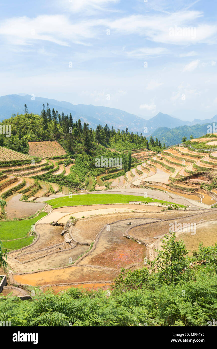 Rice terraces and countryside of Sapa, Vietnam Stock Photo - Alamy