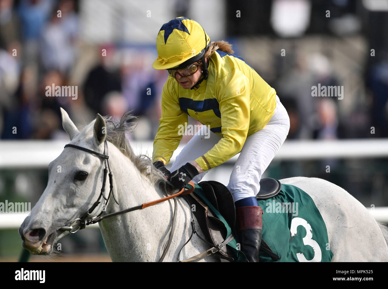 Victoria Smith rides Roy Rocket in the Jockey Club Challenge at Warwick ...