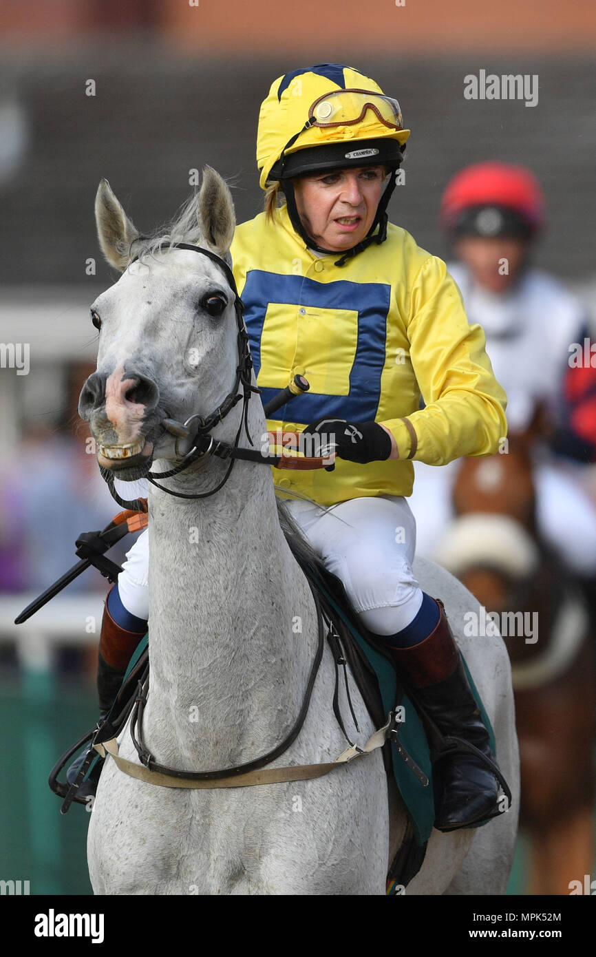Jockey club challenge warwick racecourse hi-res stock photography and ...