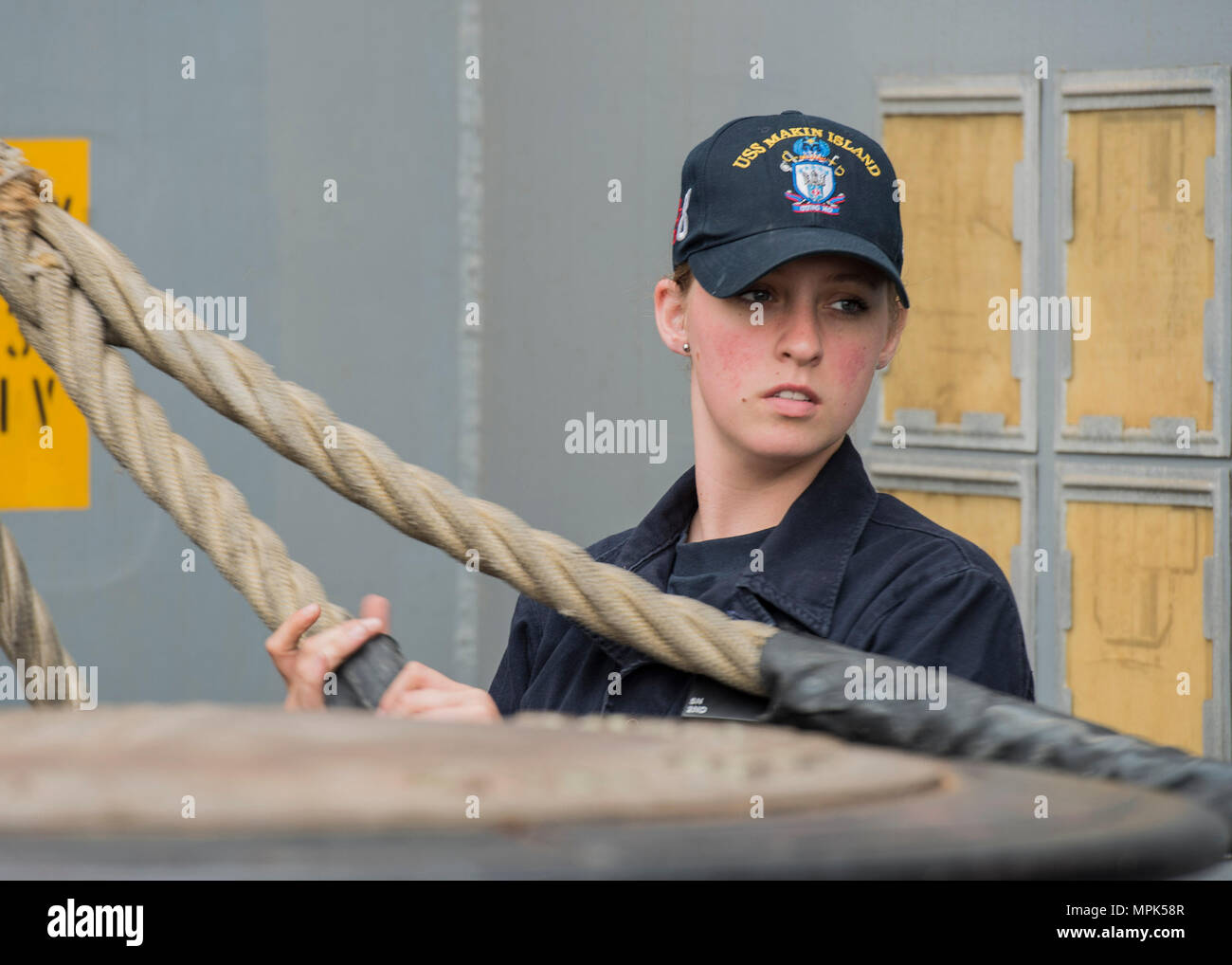 U.S. 5TH FLEET AREA OF OPERATIONS (March 21, 2017) Seaman Alyssa ...