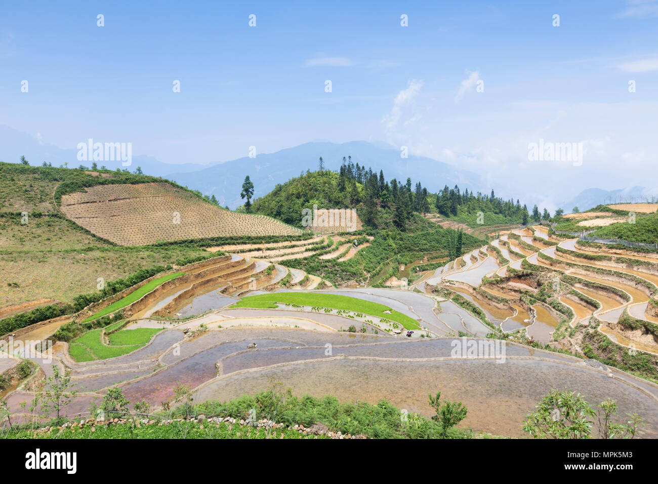 Rice terraces and countryside of Sapa, Vietnam Stock Photo - Alamy