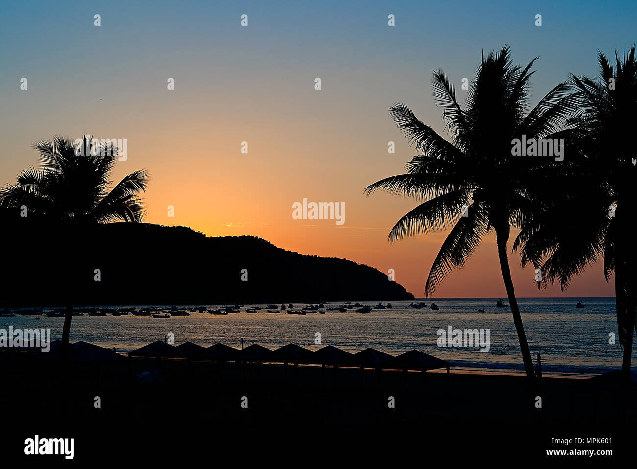 Palm beac hi-res stock photography and images - Alamy