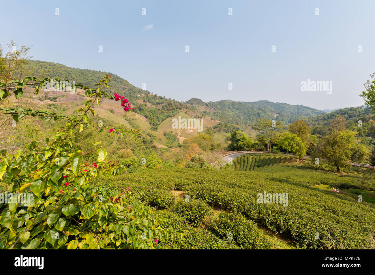 Beautiful mountains landscape taken during trekking around Chiang Rai ...