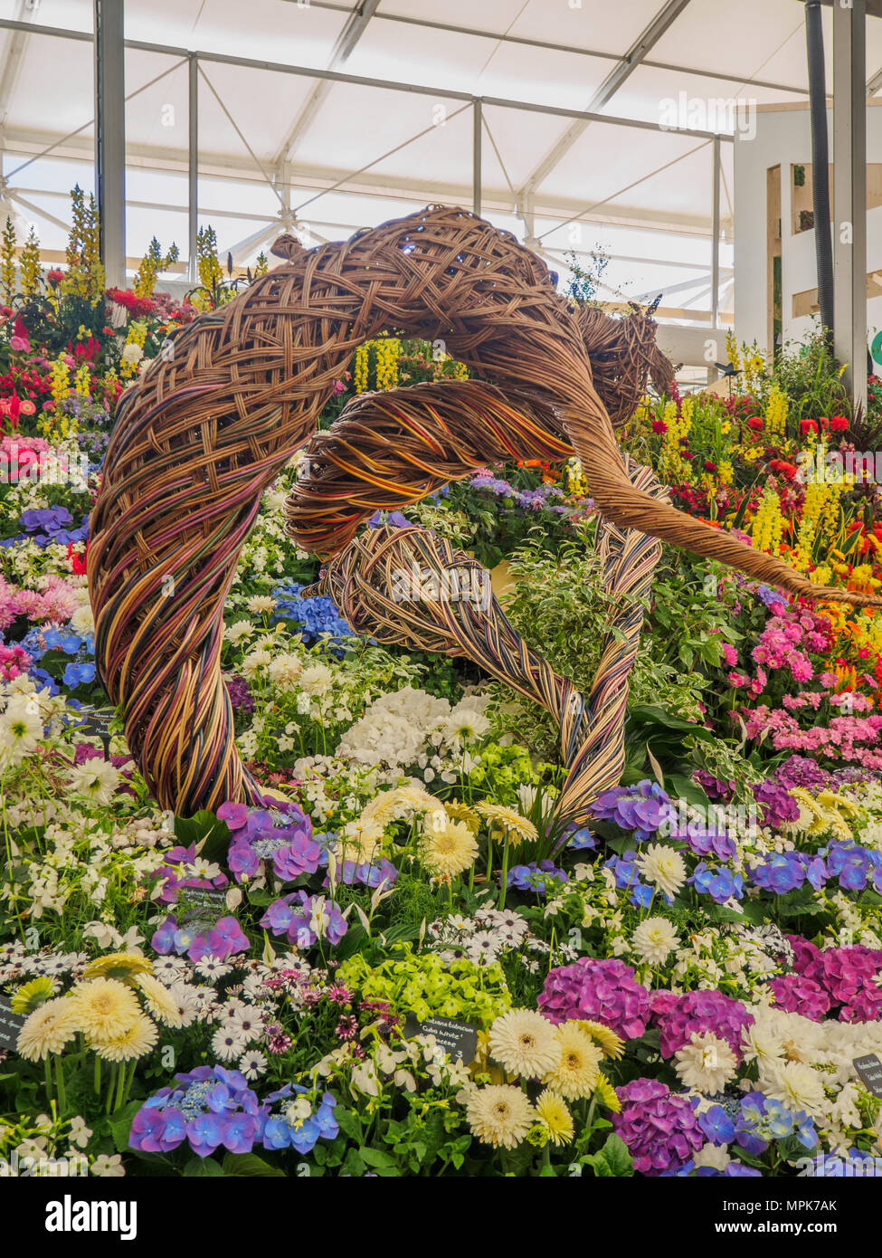RHS Chelsea Flower Show 2017. Various flowers on the gold medal winner ...