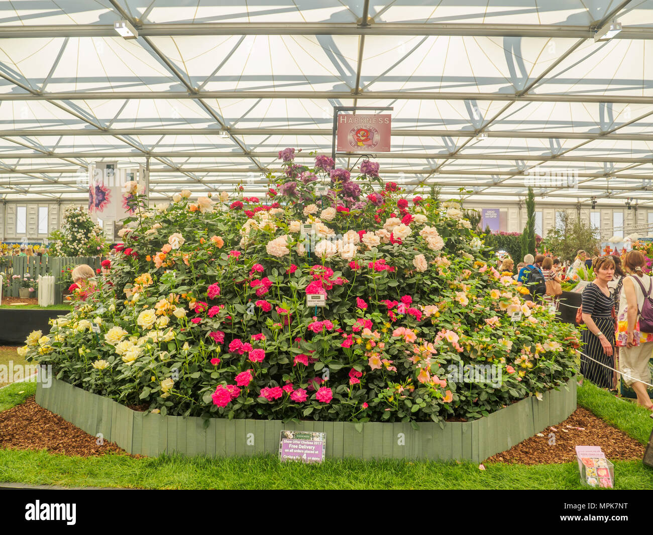 Outdoor botanical displays hi-res stock photography and images - Alamy