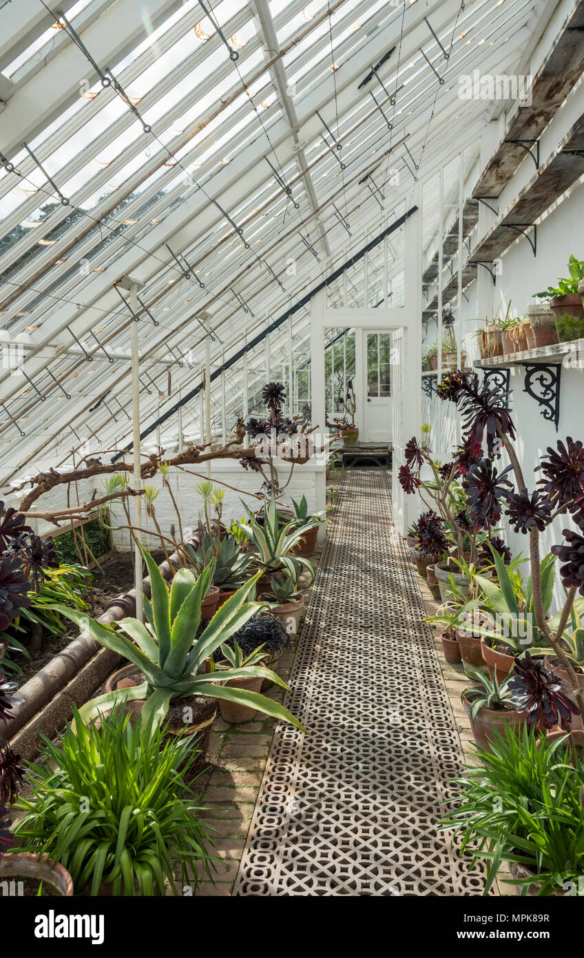 The Lost Gardens of Heligan, Cornwall, UK Stock Photo - Alamy