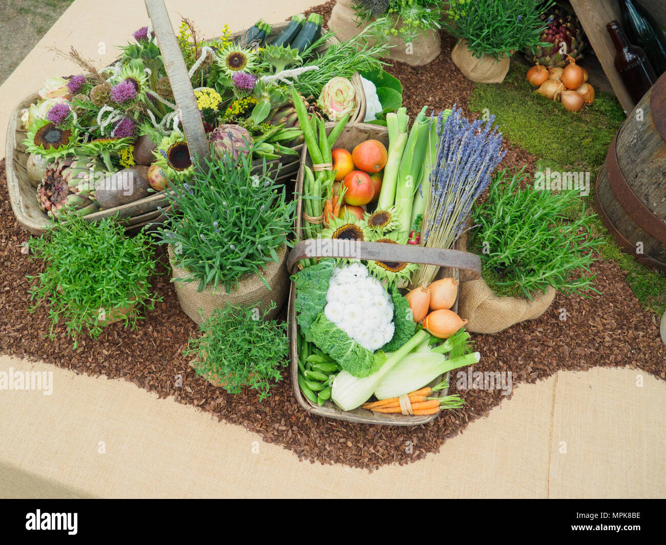 RHS Chelsea Flower Show 2017. A beautiful fruit, vegs, plants and ...