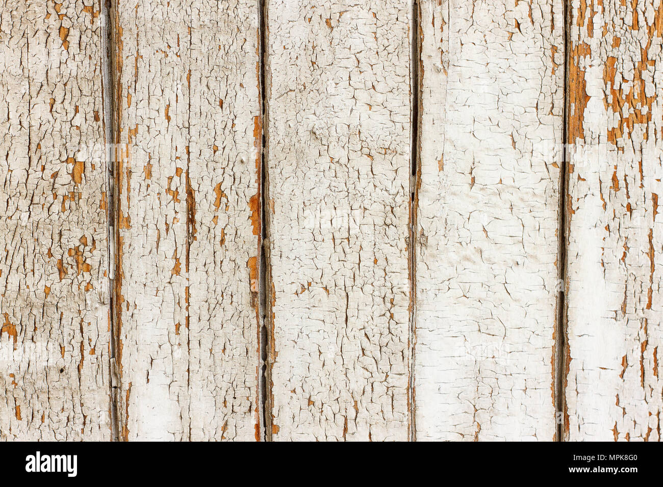 Vintage or grungy white background of natural wood or wooden old ...