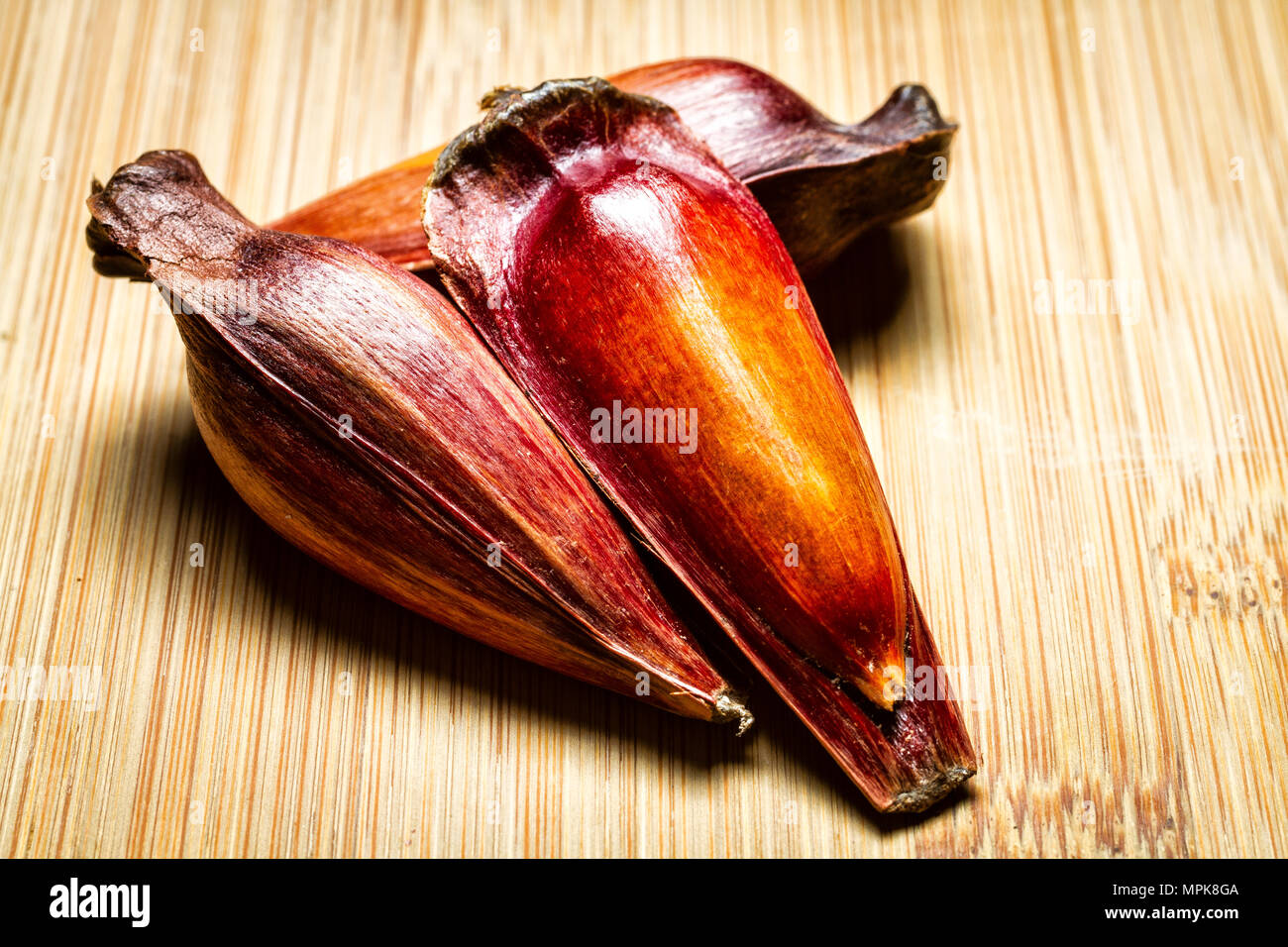 Araucaria nuts, known in Brazil as Pinhao, an edible seed of Araucaria ...