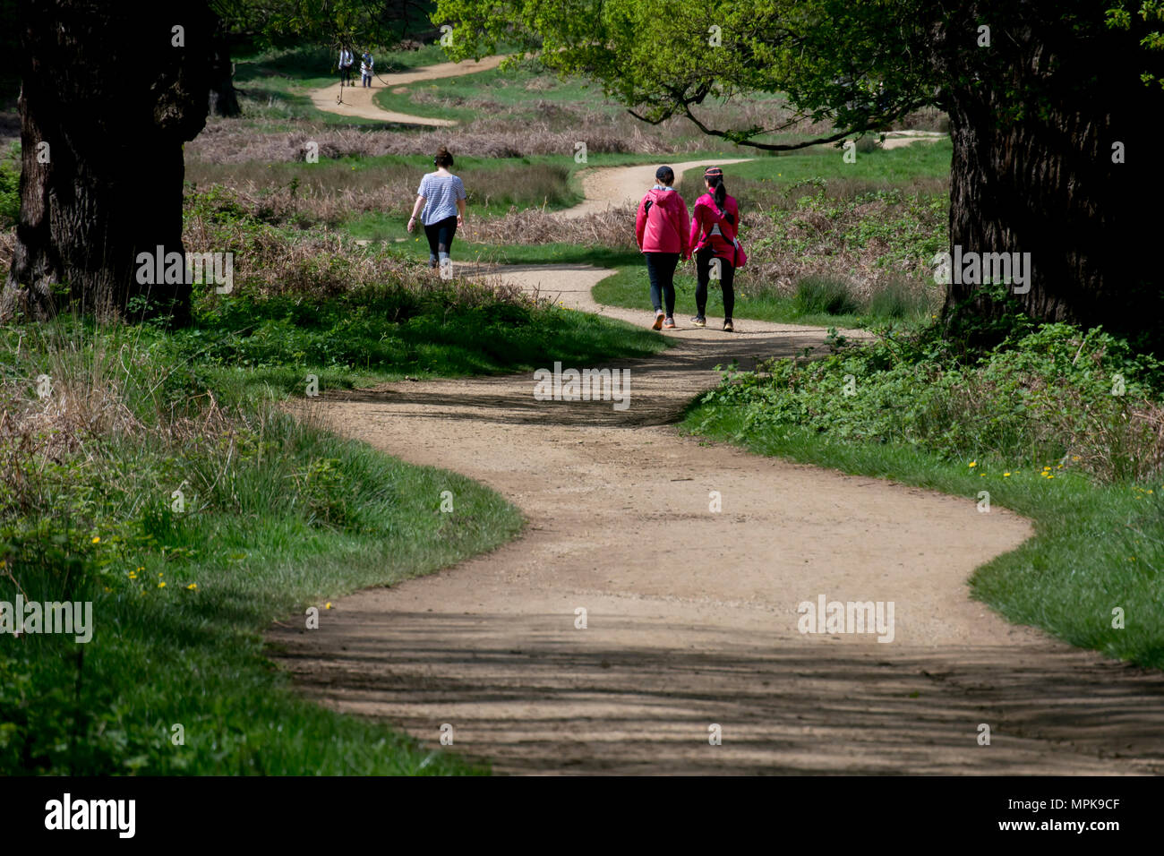 UK, England, London, Richmond Park wavy path Stock Photo - Alamy