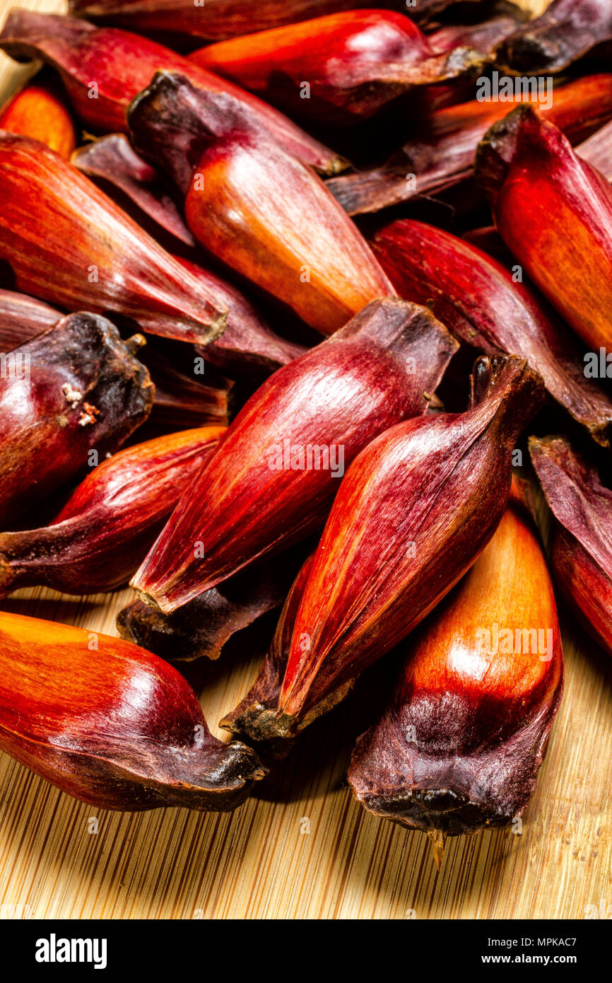 Pinha hi-res stock photography and images - Alamy