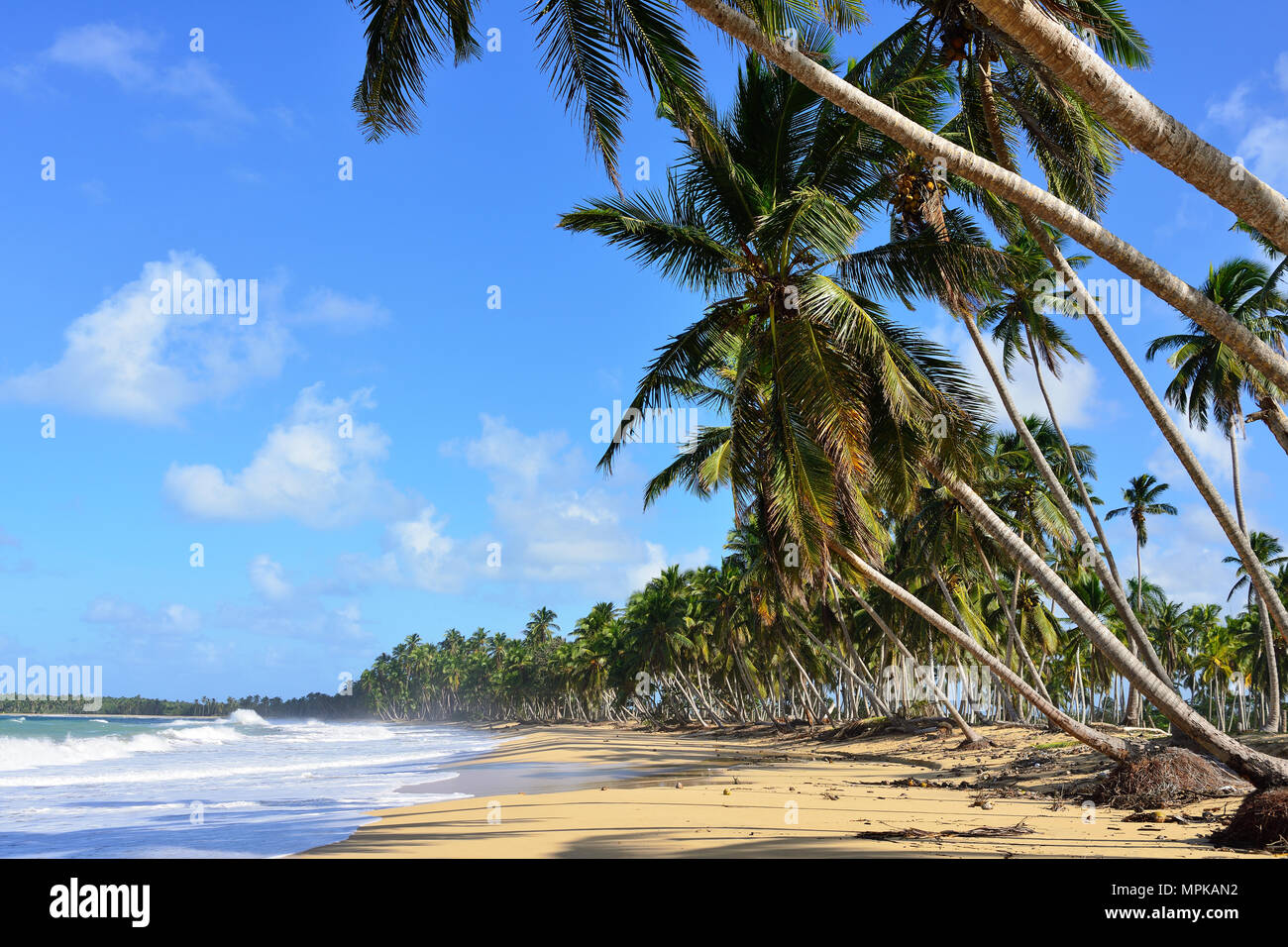 Limon beach wild and hard to reach on the south coast of Dominican ...