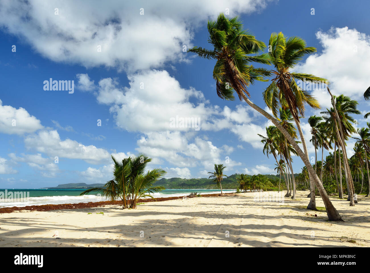 Samana peninsula view hi-res stock photography and images - Alamy