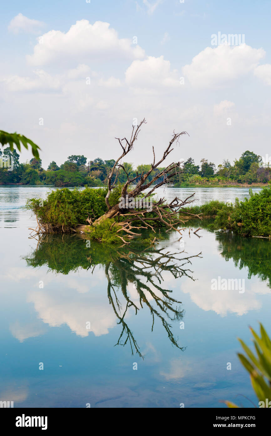 Mekhong river taken on Don Det island in south Laos. Landscape of ...