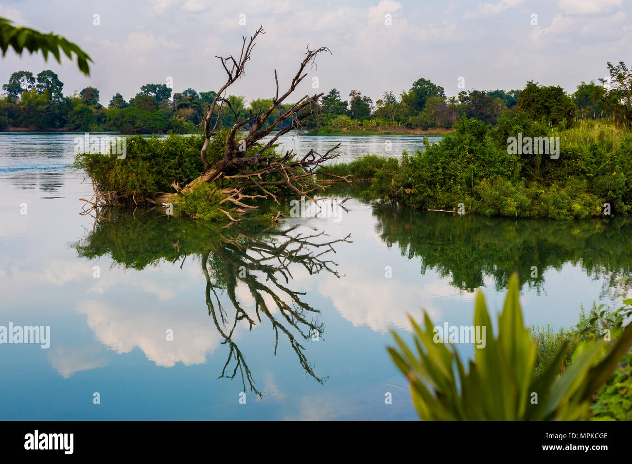 Mekhong river taken on Don Det island in south Laos. Landscape of ...