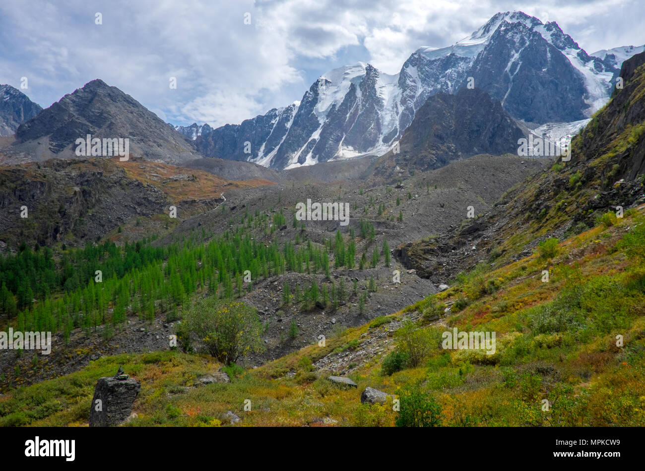 Mountain landscape in the Republic of Altai Stock Photo - Alamy