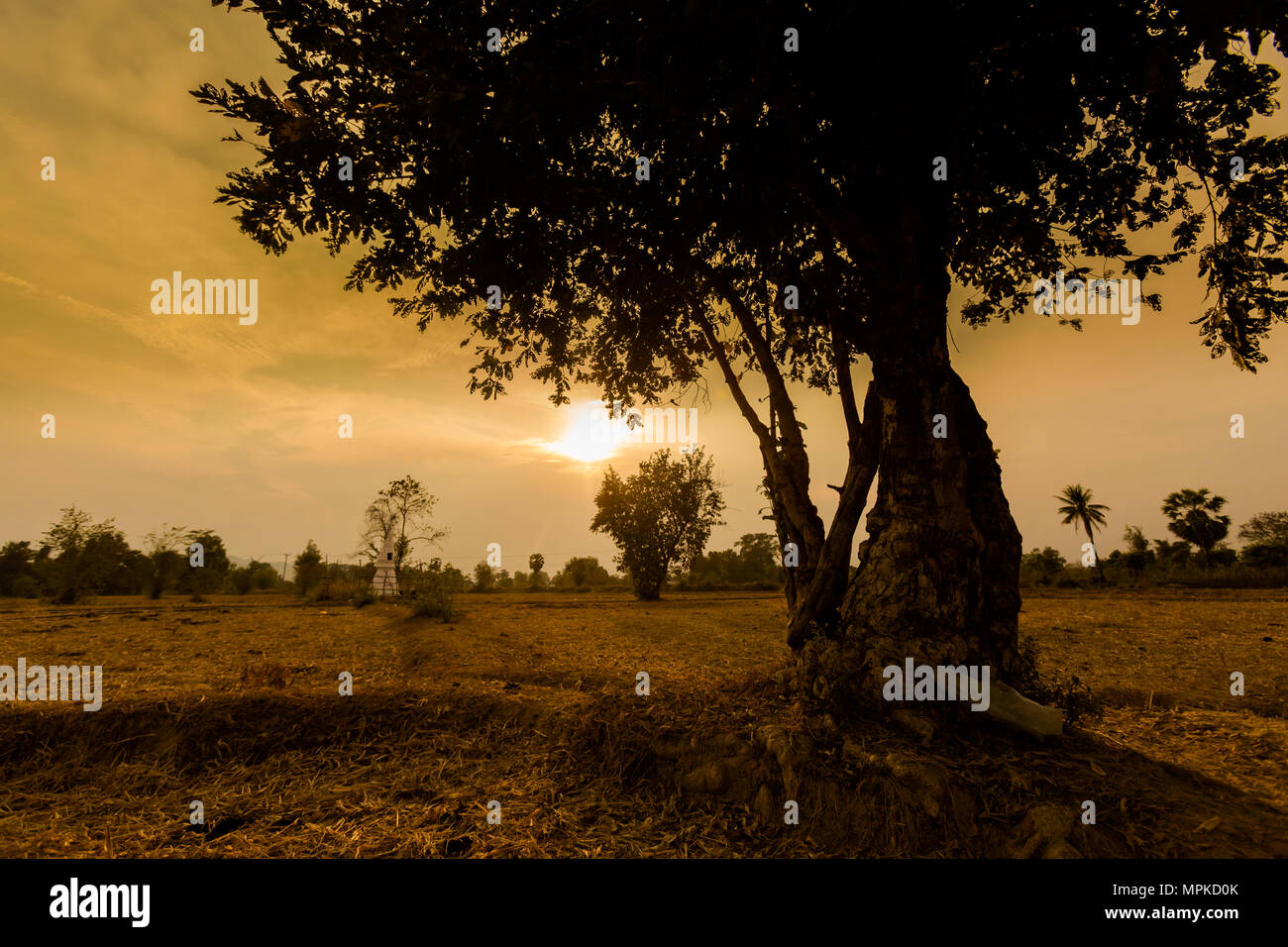 Calm scenery of Don Det island in south Laos. Landscape of nature taken ...