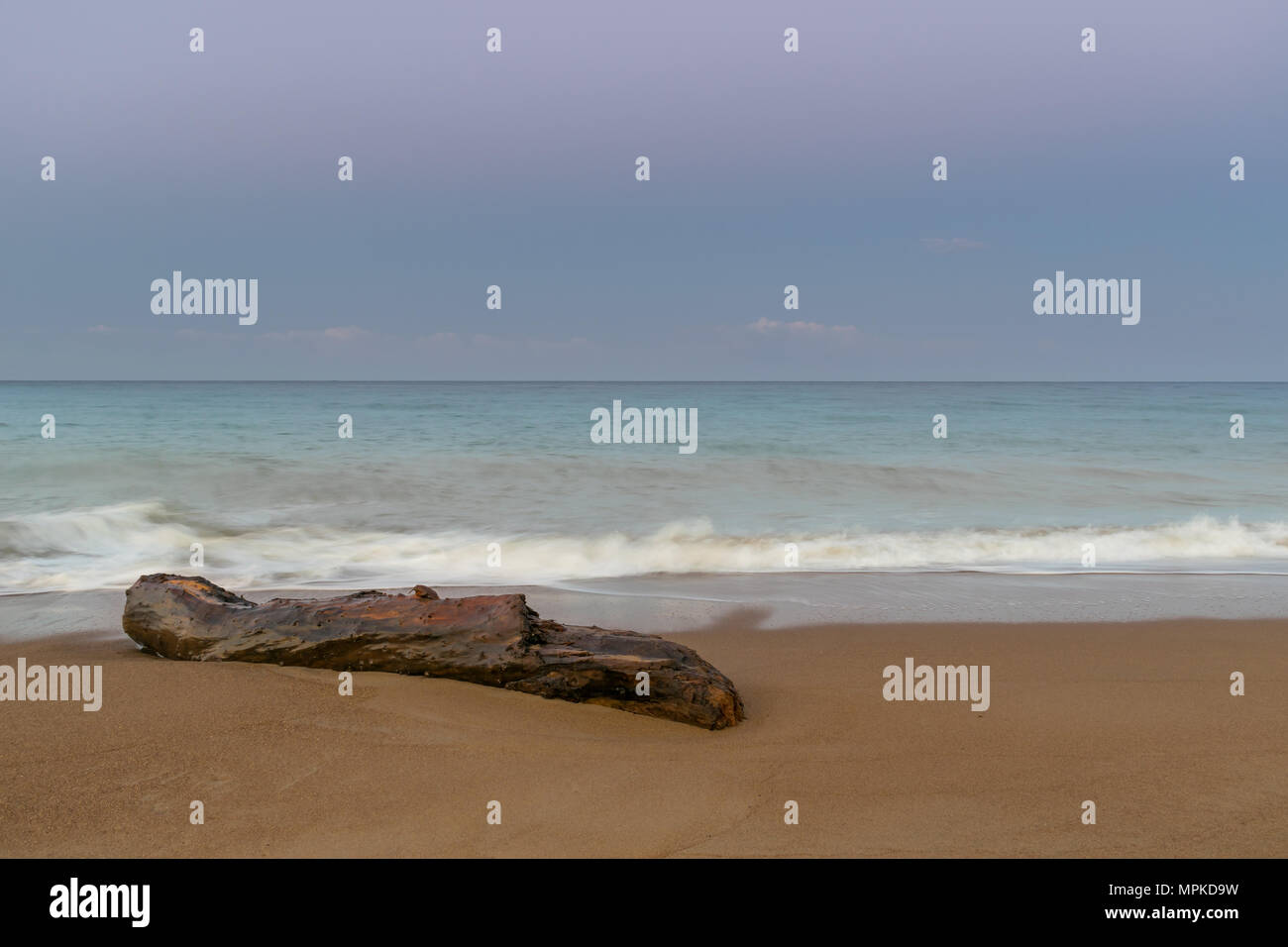 Wooden log at the beach, sunrise seascape Stock Photo - Alamy