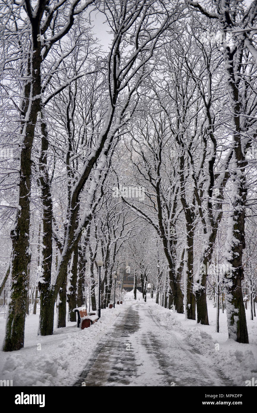 Alley with snow hi-res stock photography and images - Alamy