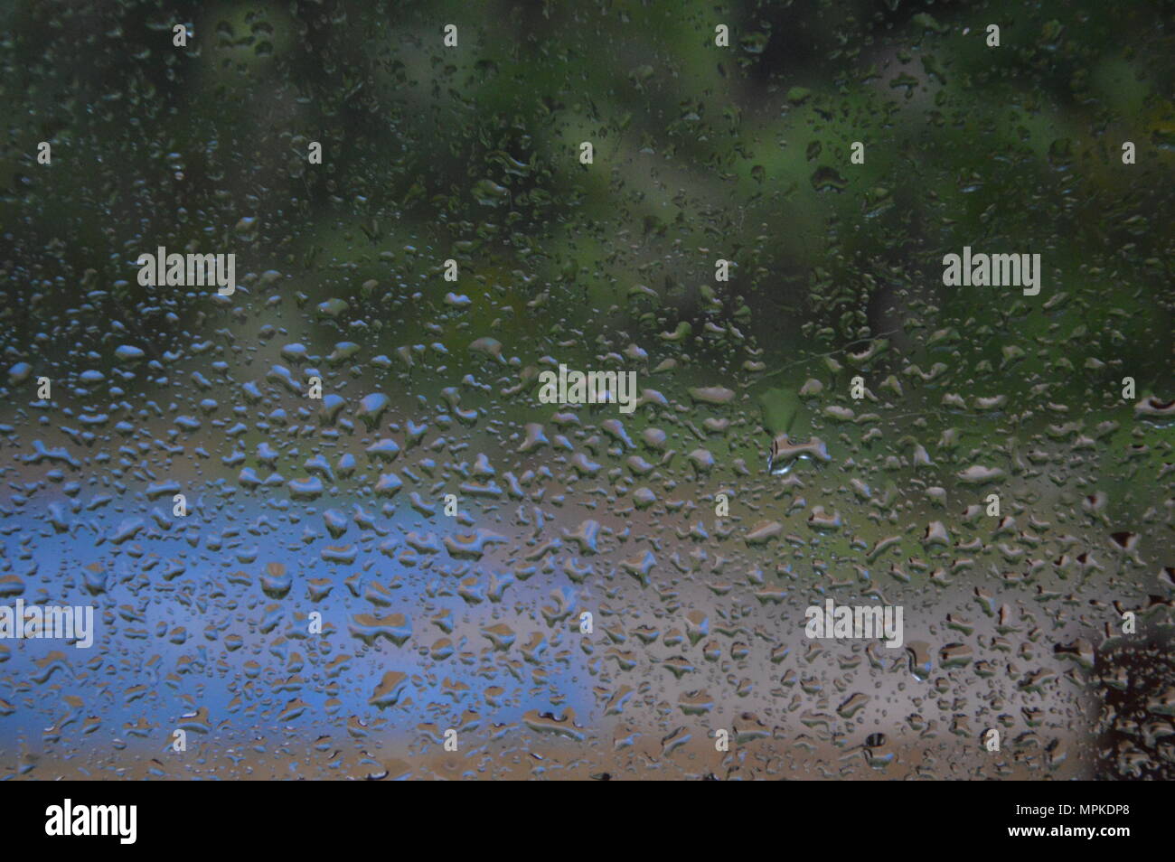 Rain drops on the window with forest background Stock Photo - Alamy